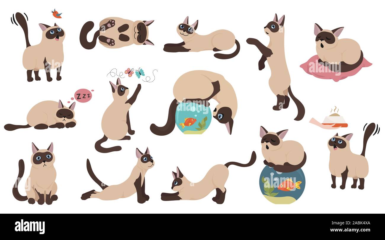 Cartoon Cat Characters Collection Different Cat`s Poses Yoga And